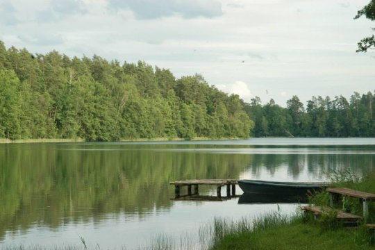 Nemo w Kulce, Kulka, opinie