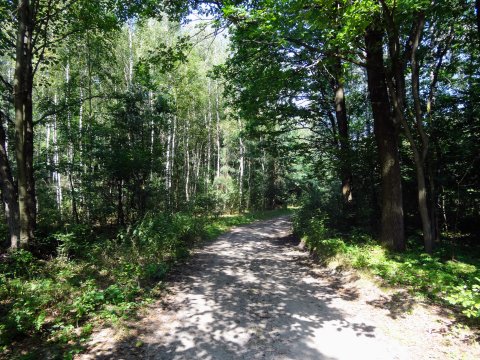 Siedlisko pod Kasztanem - domek na wyłączność z jacuzzi i sauną, Taluba ...